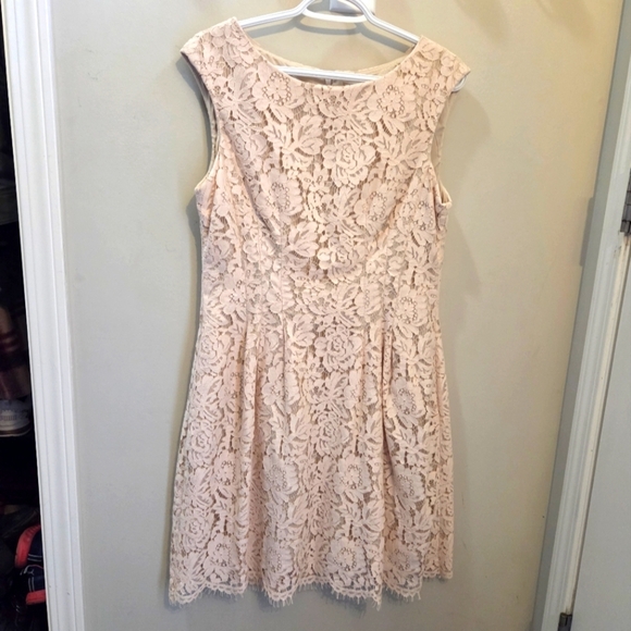 Vince Camuto | Dresses | Vince Camuto Sleeveless Lace Fit Flare Dress ...